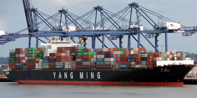 阳明海运 YML 阳明海运股份有限公司 YANG MING MARINE TRANSPORT CORP. - 深度物流