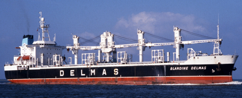 达贸轮船 DELMAS 达贸国际轮船有限公司 DELMAS S.A. - 深度物流